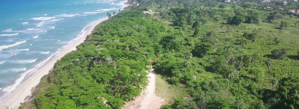 Surfing Cabarete, Playa Encuentro surf spot guide By Swell Surf camp