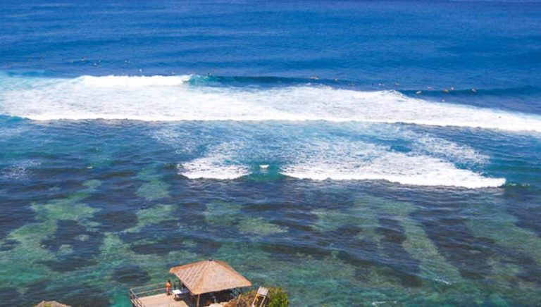 SURF , WAVE, SWELL AND BREAK TERMINOLOGY